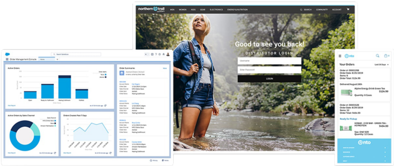 Discover our Salesforce Customer 360 Platform